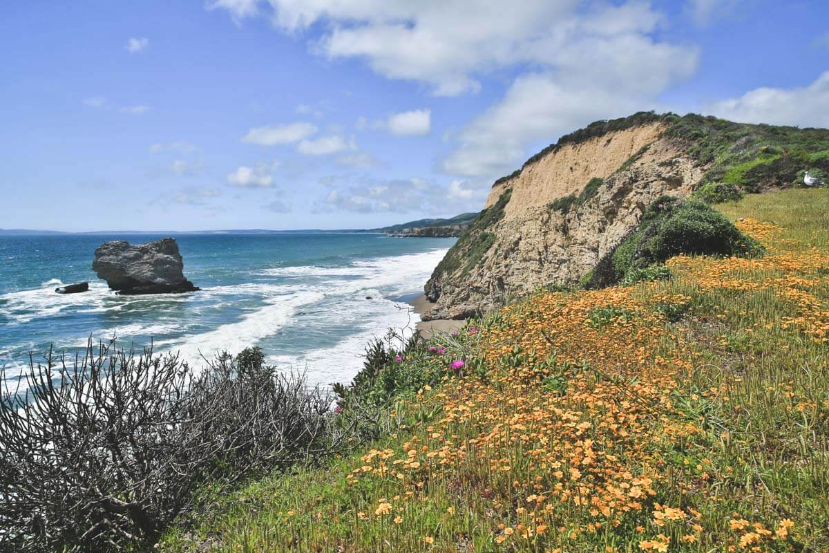 8 Easy Hikes in Point Reyes, California for All Skill Levels