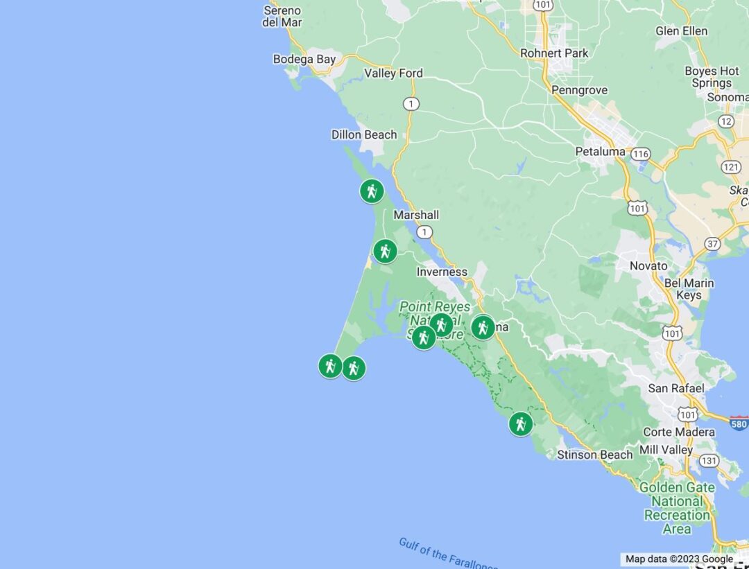 9 Must-Do Hikes in Point Reyes National Seashore