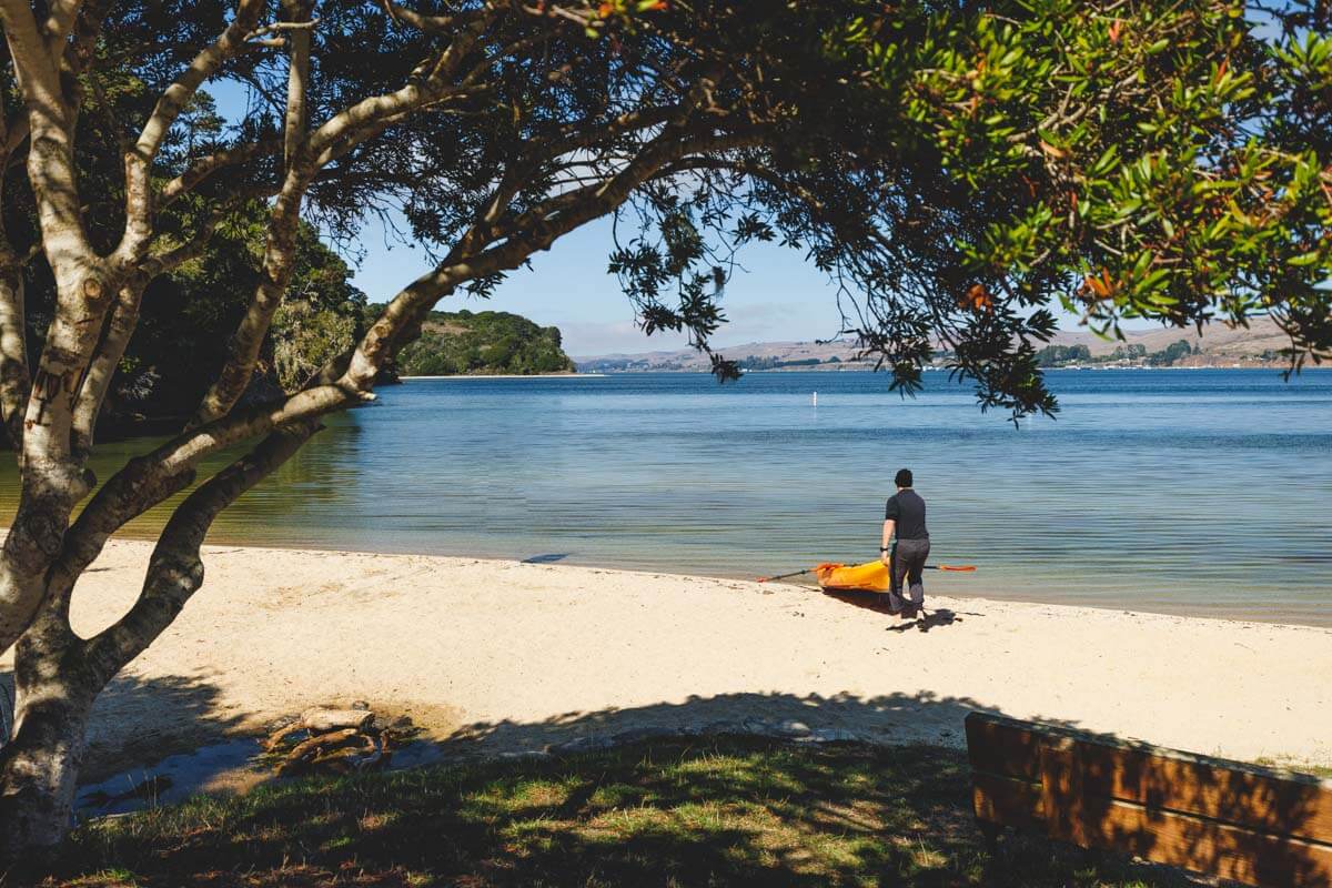 Your Guide to Tomales Bay State Park