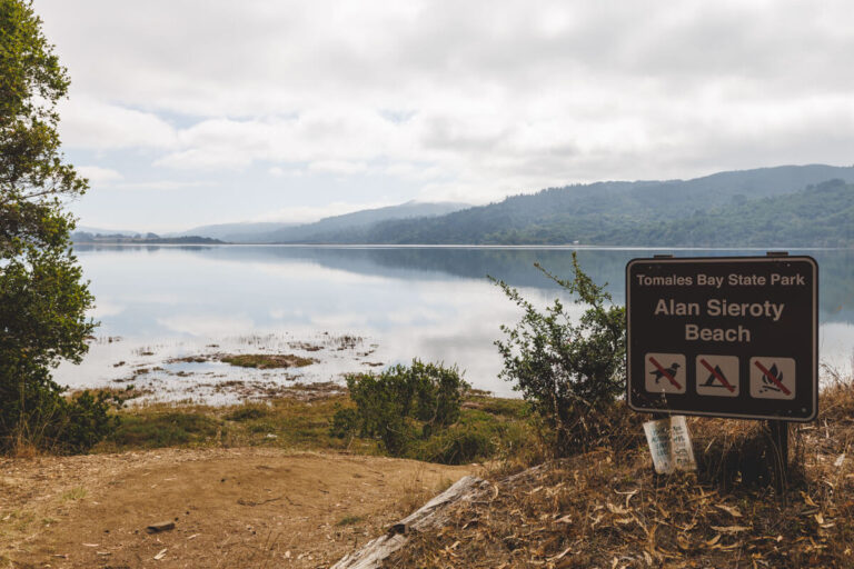11 Stunning Beaches in Point Reyes Worth Visiting