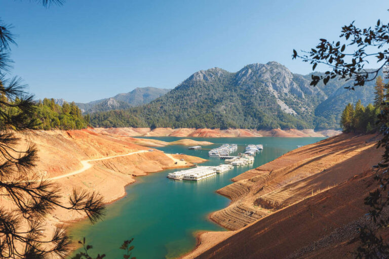 5 Hidden Cabins and Camping Retreats in Northern California Forests