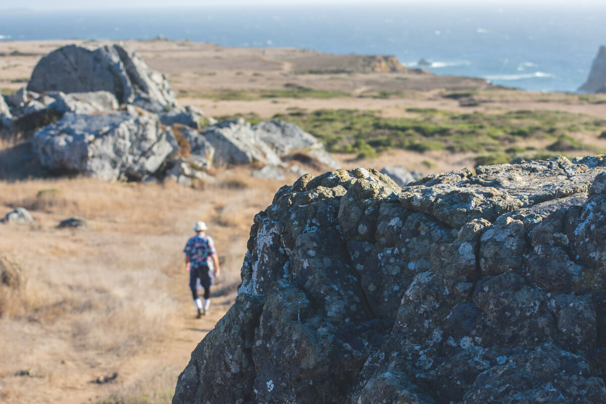 Check Out Sonoma Coast State Park in California!