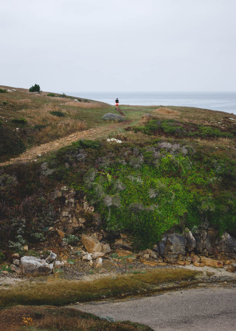 Exploring Salt Point State Park on The California Coast