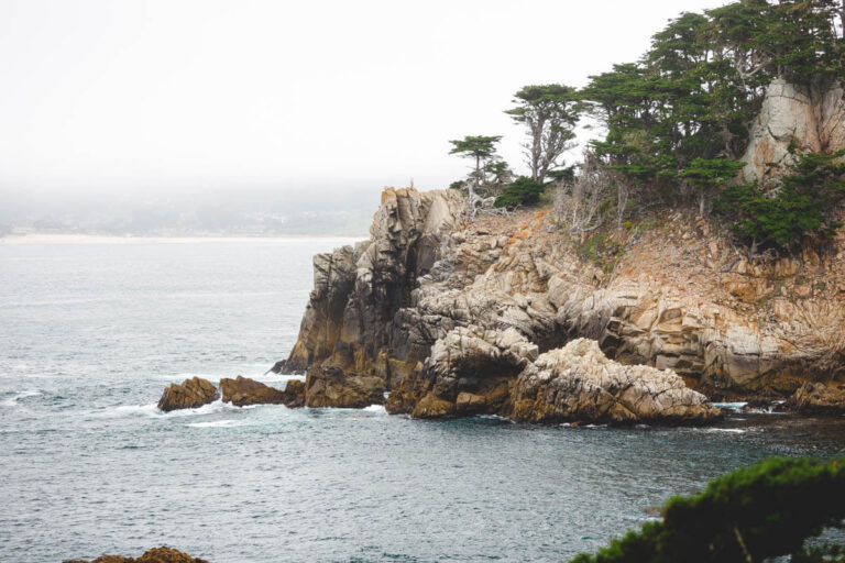 Point Lobos Hike: One of The Best Hikes on The California Coast!