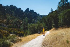 7 BEST Hikes in Pinnacles National Park