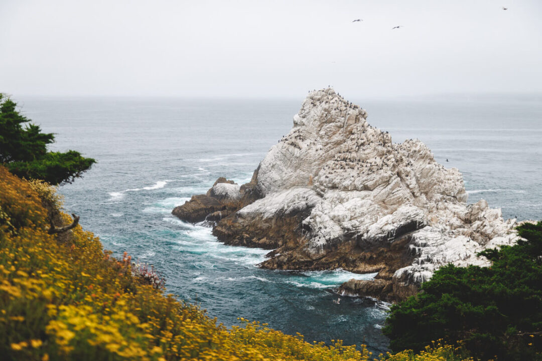 Point Lobos Hike: One of The Best Hikes on The California Coast!