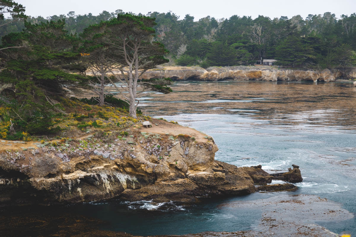 25 Best Things to Do in Carmel-By-The-Sea