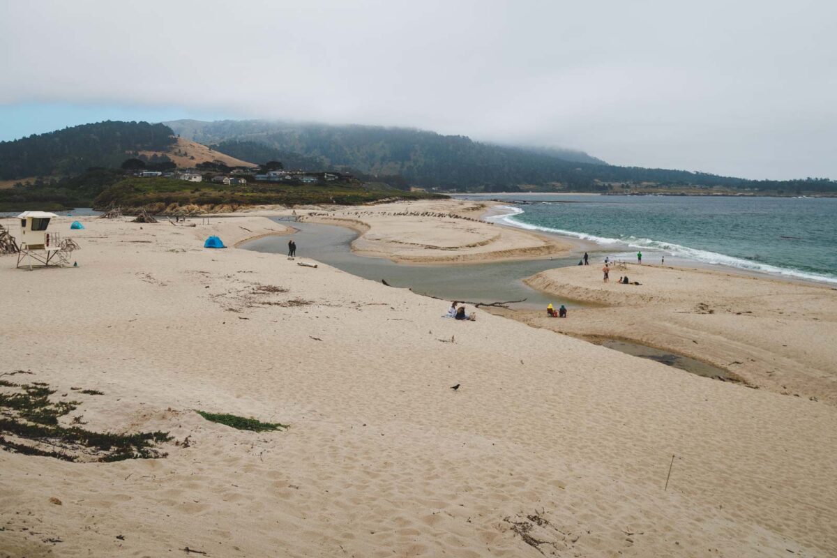 18 Best Hikes in Monterey to Tackle!
