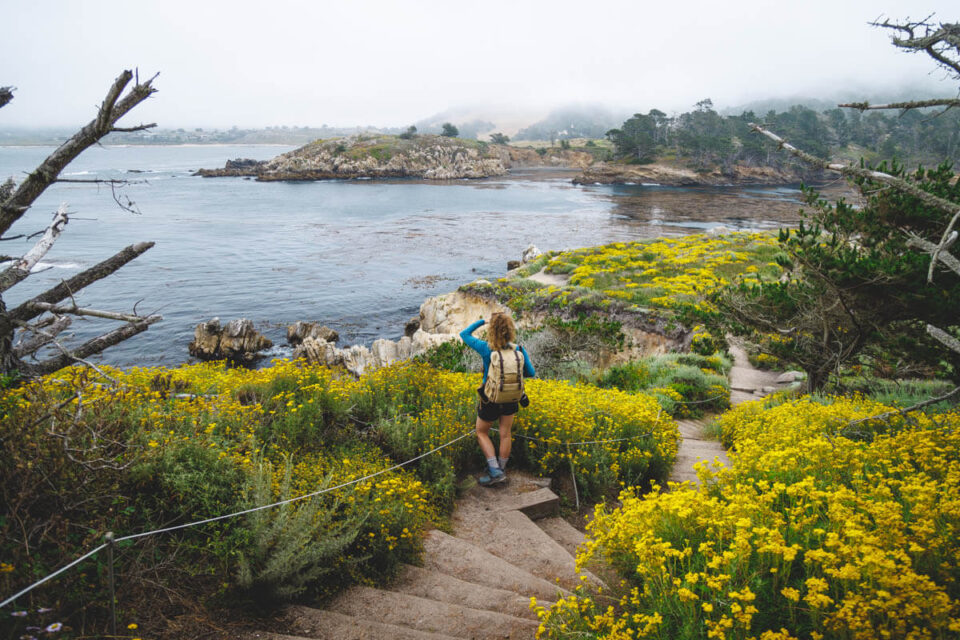 Point Lobos Hike: One of The Best Hikes on The California Coast!