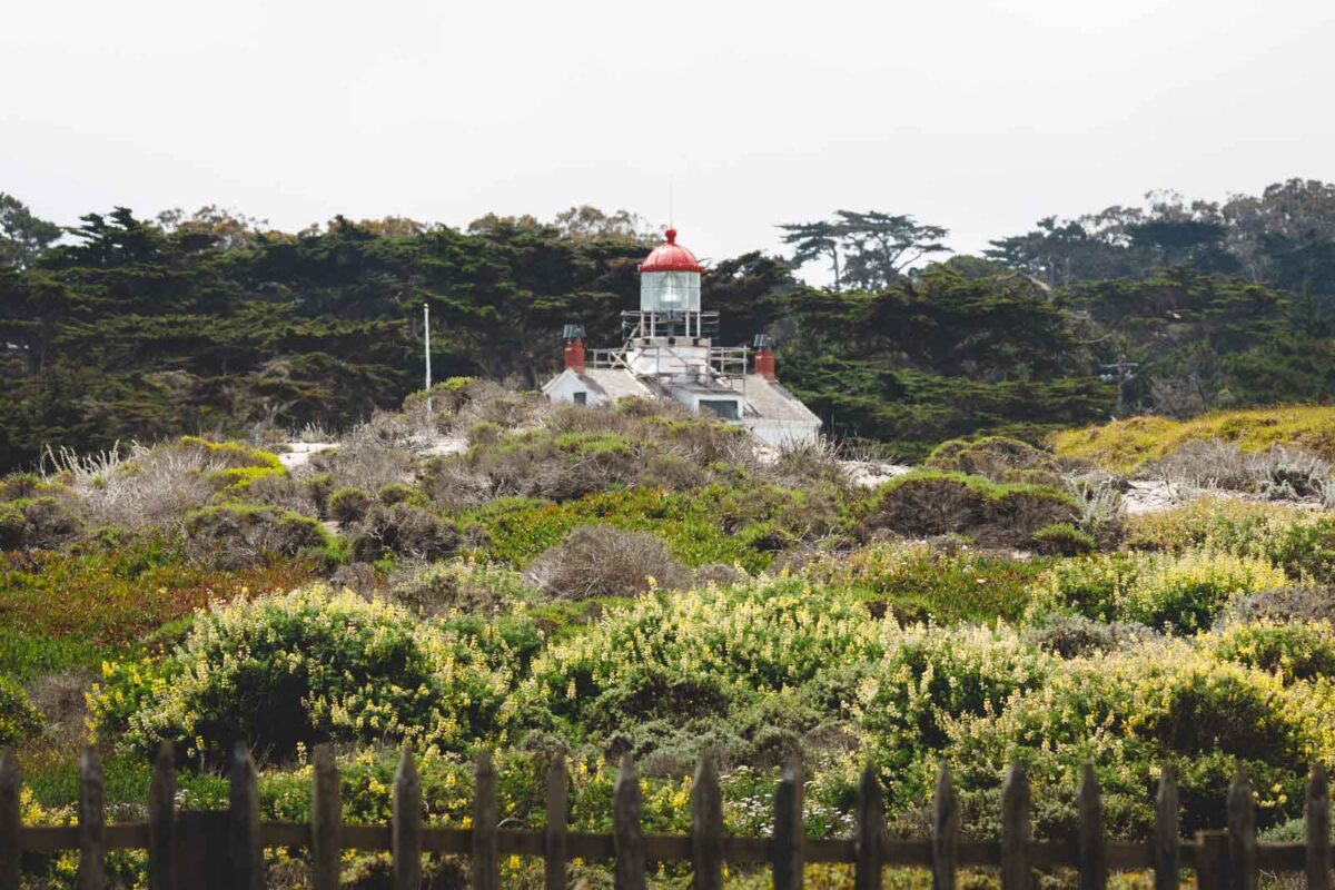 18 Best Hikes in Monterey to Tackle!