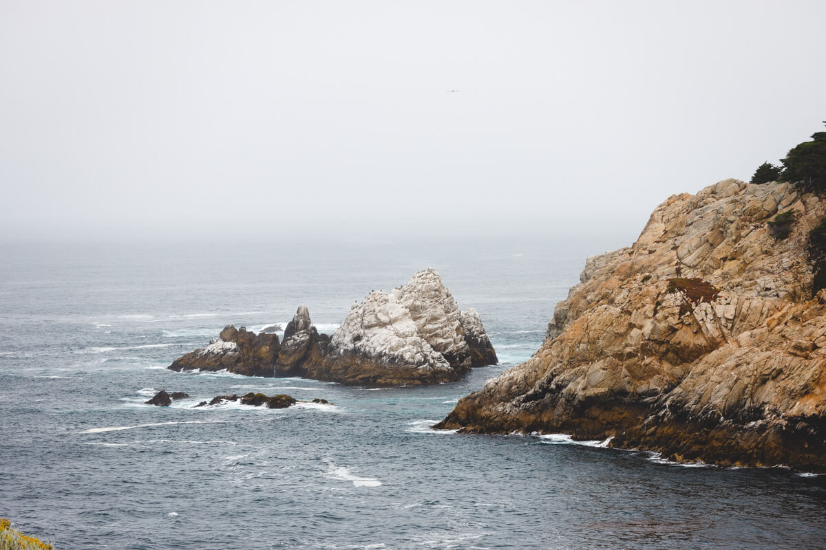 Point Lobos Hike: One of The Best Hikes on The California Coast!