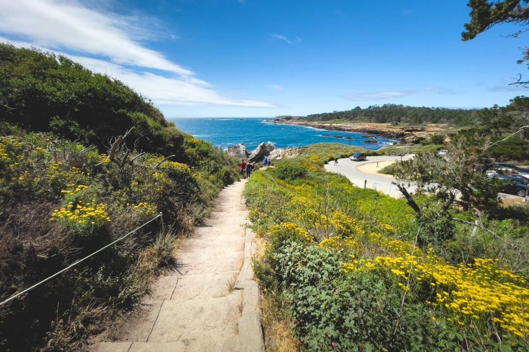Point Lobos Hike: One of The Best Hikes on The California Coast!
