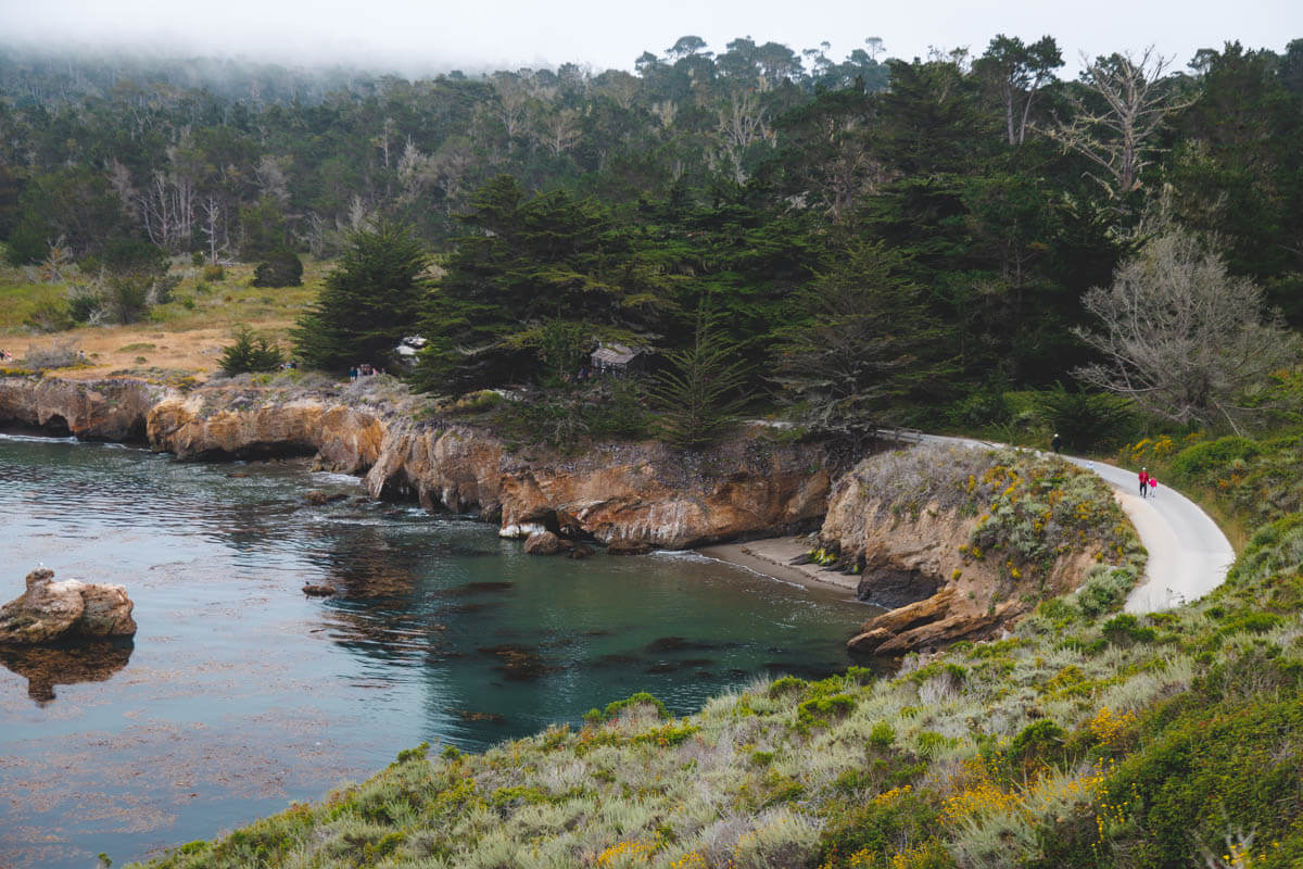 Point Lobos Hike: One of The Best Hikes on The California Coast!