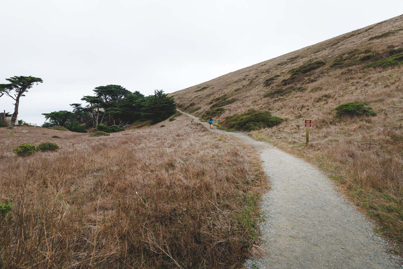 Chimney Rock Trail in Point Reyes National Seashore