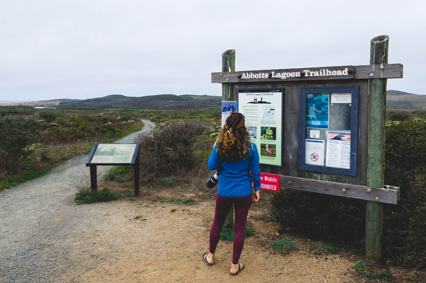Abbotts Lagoon Trail in Point Reyes National Seashore
