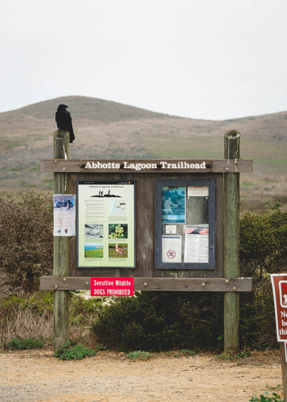 Abbotts Lagoon Trail in Point Reyes National Seashore