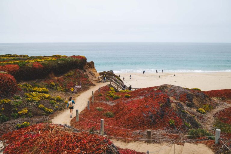 Guide to Garrapata State Park in Big Sur, CA