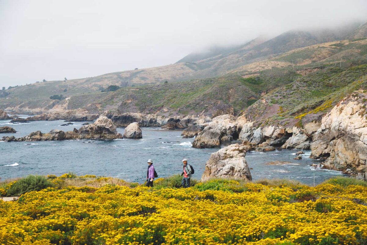 Guide to Garrapata State Park in Big Sur, CA