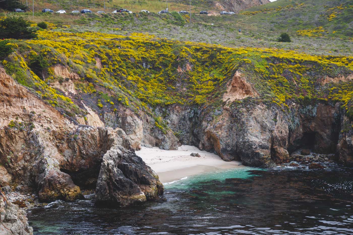 Guide to Garrapata State Park in Big Sur, CA