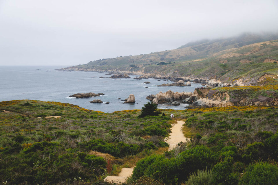 Guide to Garrapata State Park in Big Sur, CA