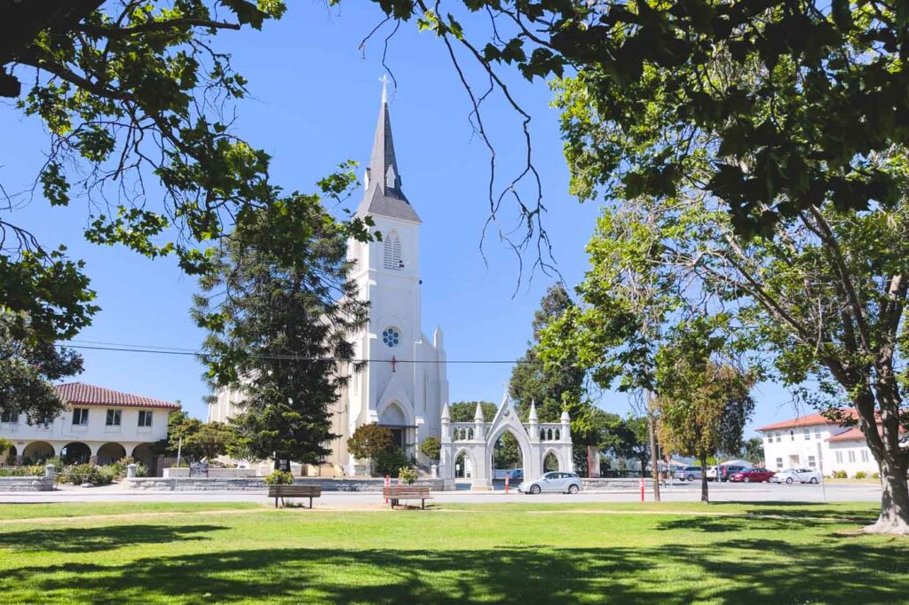 24 AWESOME Things to Do in Santa Cruz