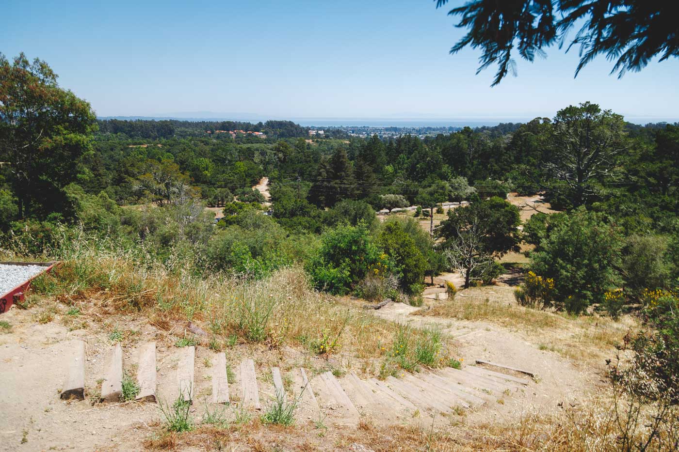 9 TOP Hikes in Santa Cruz