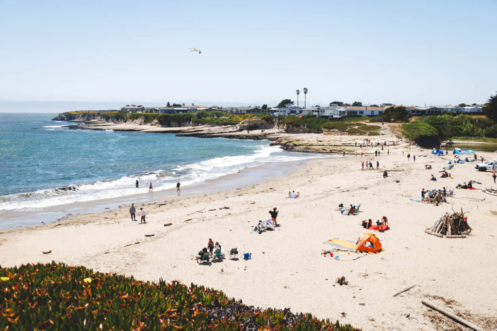 24 AWESOME Things to Do in Santa Cruz