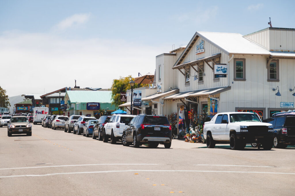 16 BEST Things to Do in Morro Bay