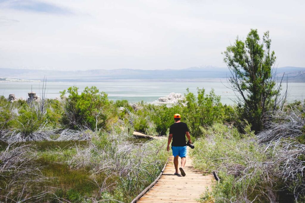 Exploring Mono Lake, California—What to Know!