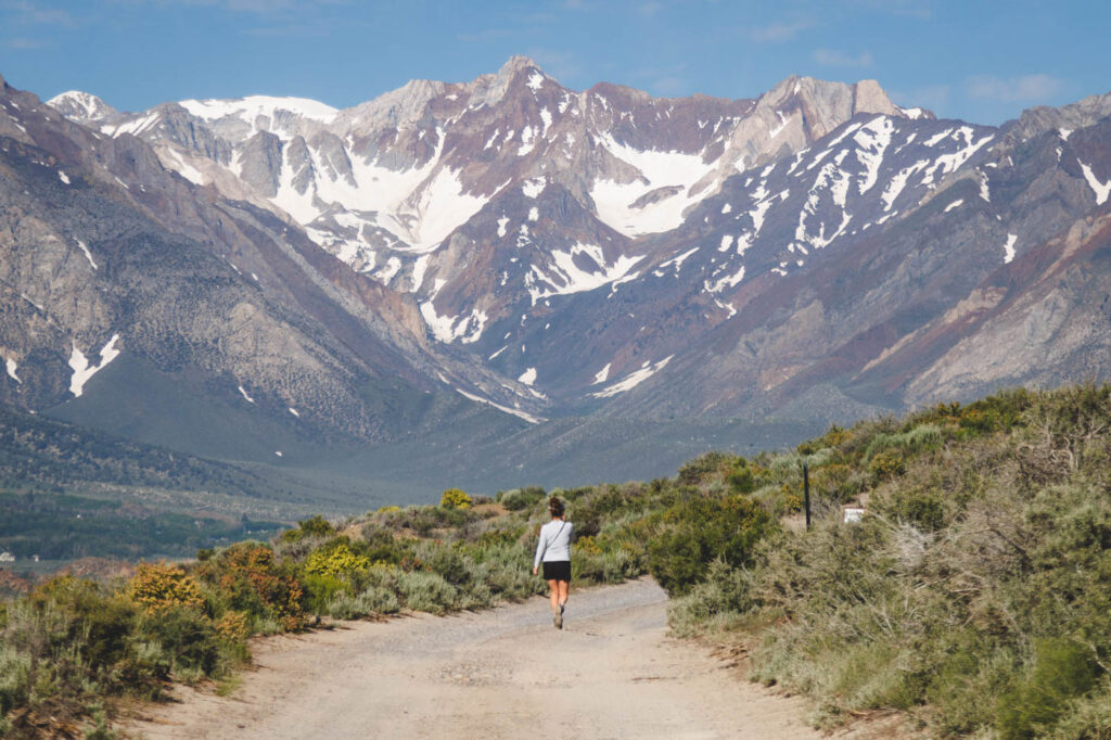 Crowley Lake Columns: How to Visit