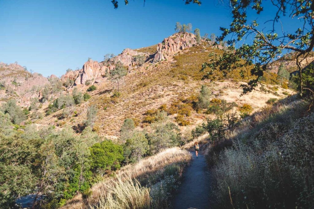 7 BEST Hikes in Pinnacles National Park