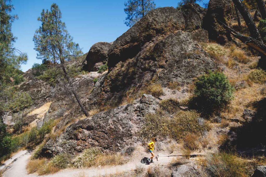 7 BEST Hikes in Pinnacles National Park