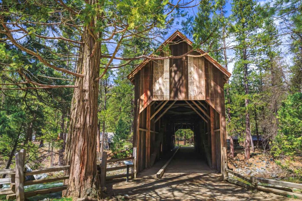 THESE 15 Hikes in Yosemite National Park Are The Most Worth It