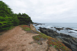 Your Guide to Van Damme State Park