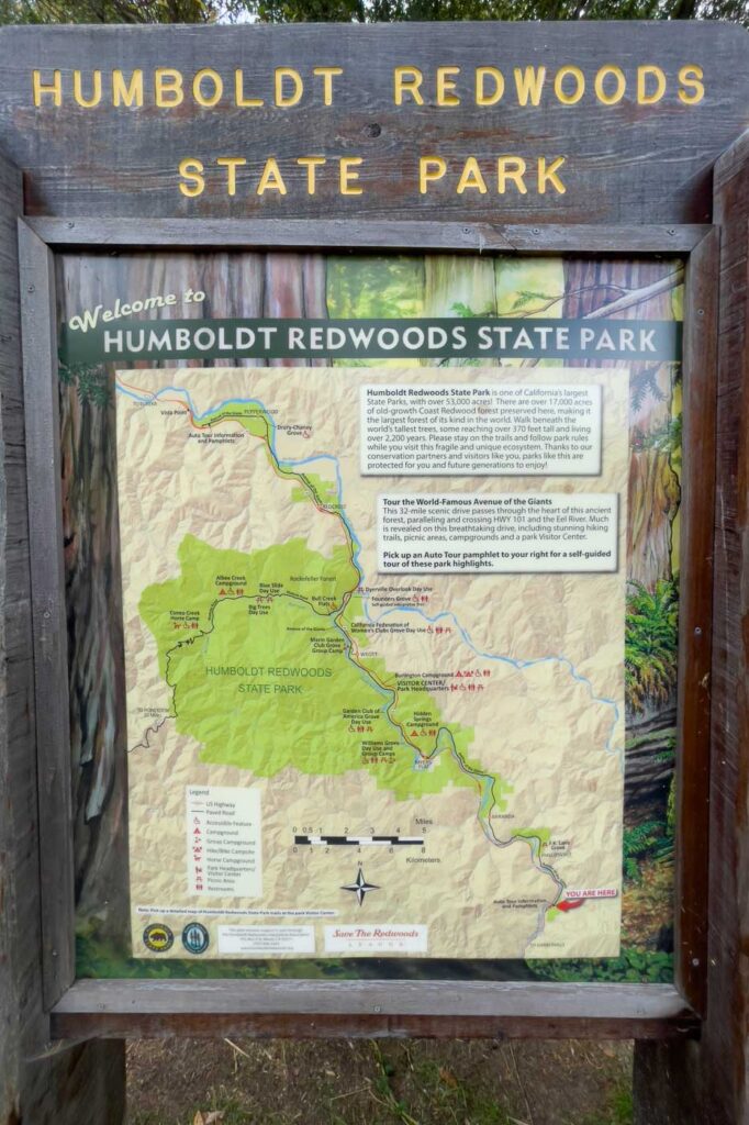 Avenue of the Giants: 14 Must-See Stops! - California