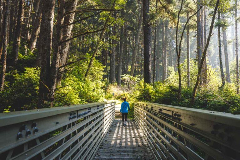 Check Out Prairie Creek Redwoods State Park in California!