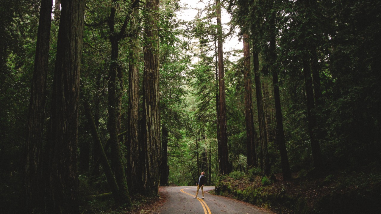 8 Family-Friendly Campsites in Northern California’s Forests