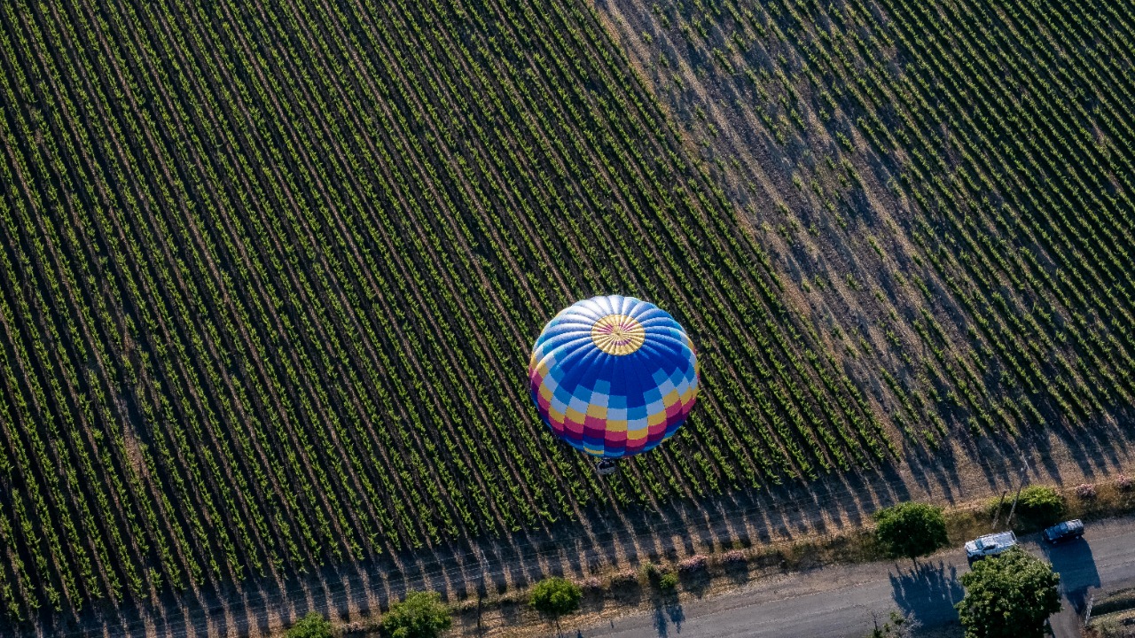 5 Trails That Capture the Beauty of California’s Wine Country Outdoors